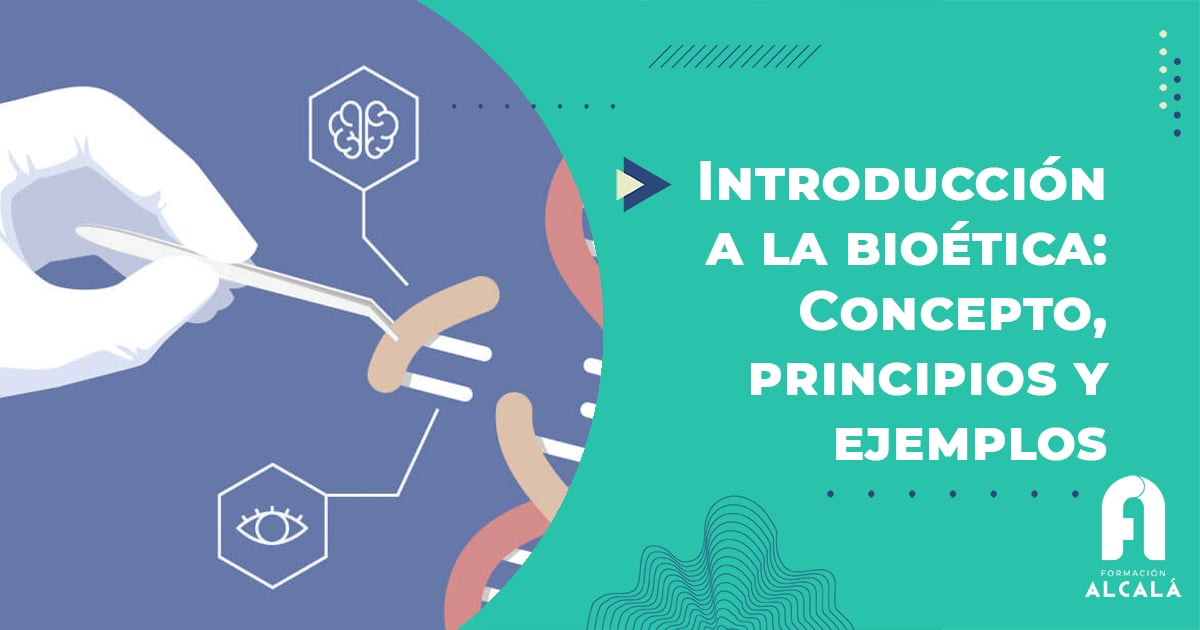 Introducción a la bioética: Concepto, principios y ejemplos