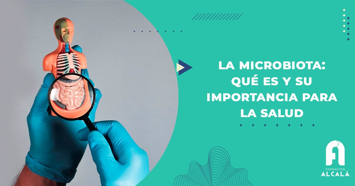 La microbiota y su importancia para la salud| Formación Alcalá